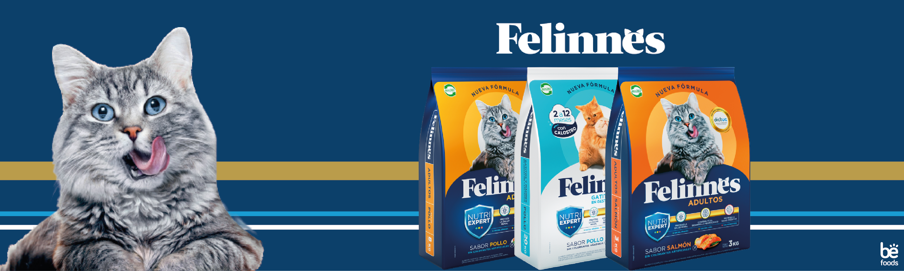 Felinnes
